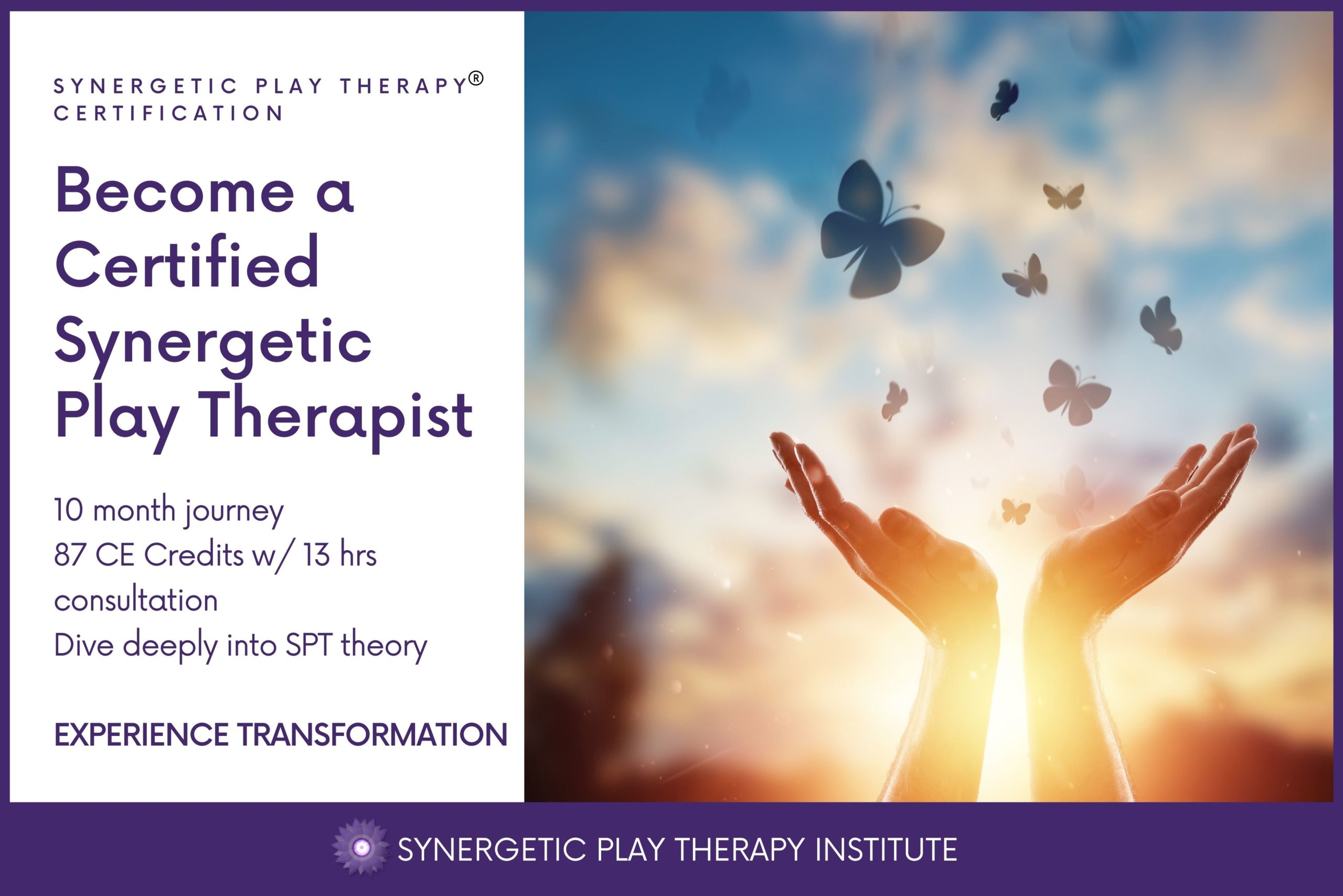 Home Synergetic Play Therapy Online Learning