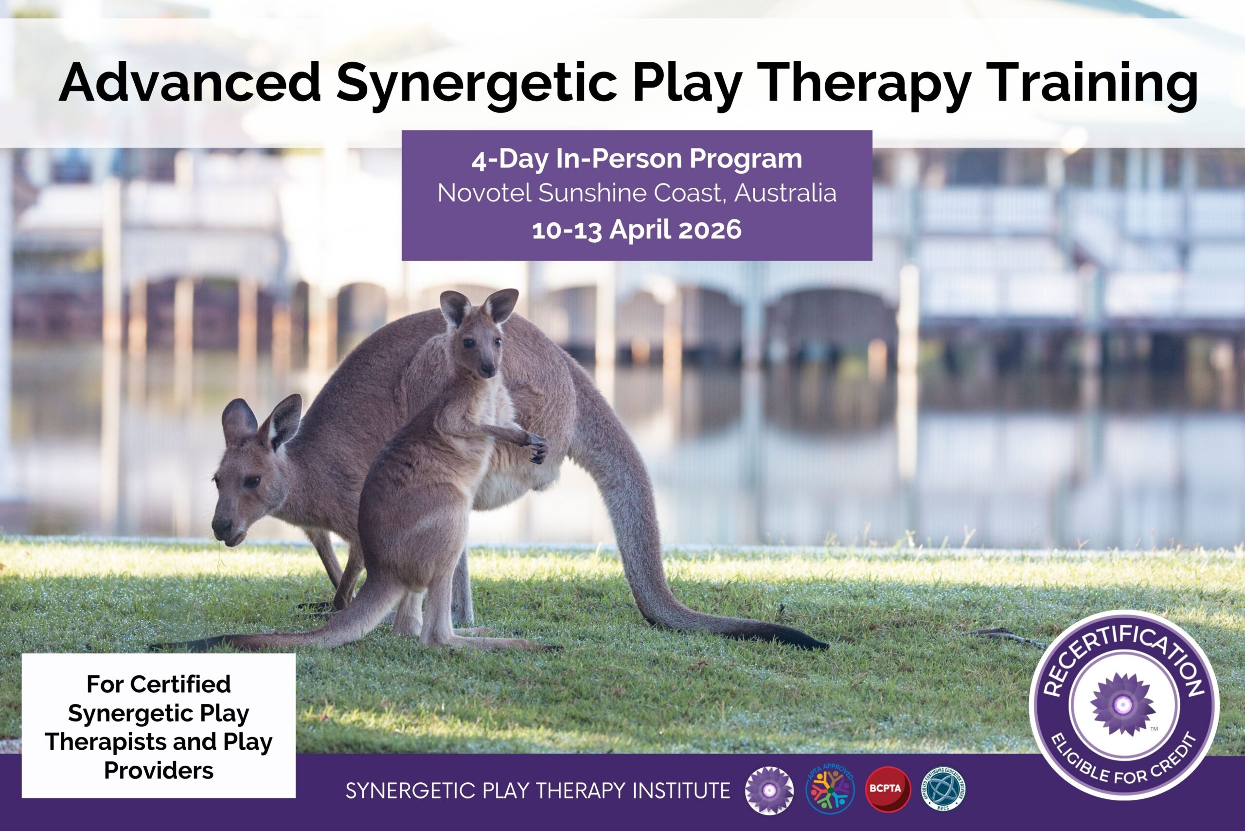 Advanced Synergetic Play Therapy Training Program 2026 (4-Month Payment Plan) - Synergetic Play ...